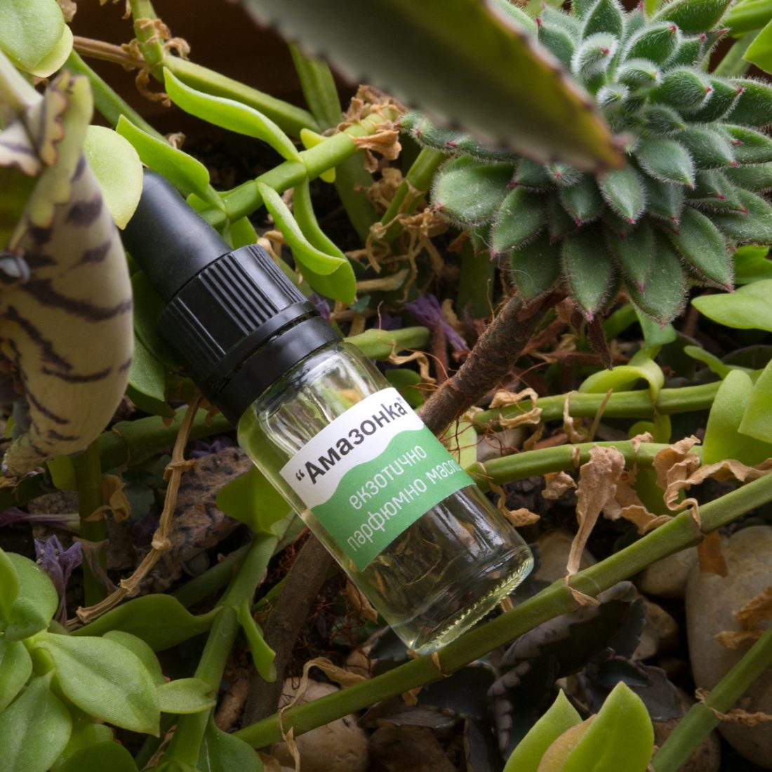 Екзотично парфюмно масло „Амазонка“/ Exotic Fragrance Oil „Amazon ...